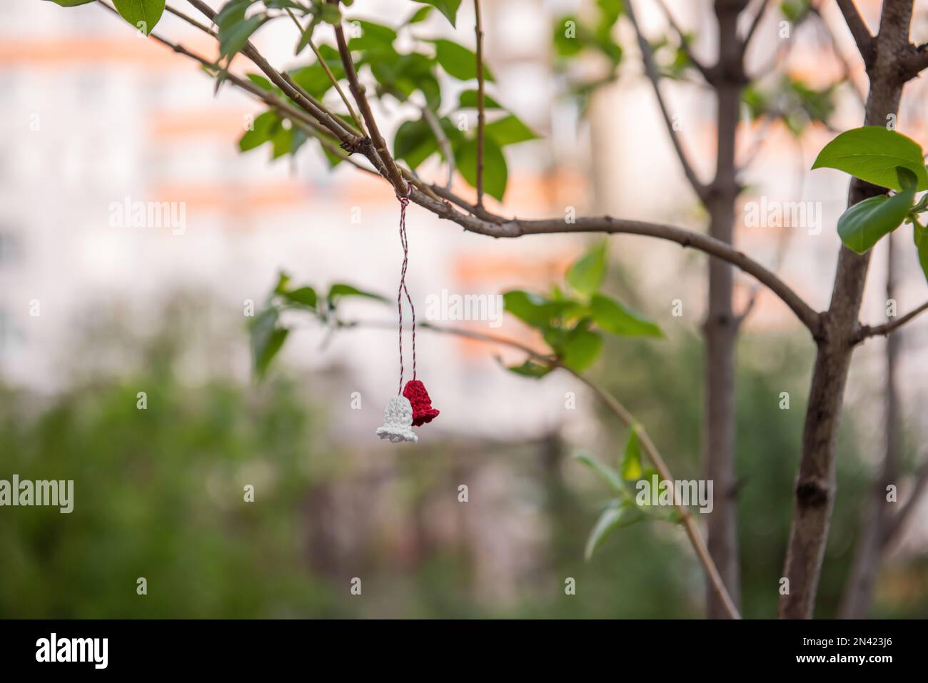 Symbol of the first day of spring Martisor. Tradition of giving red and ...