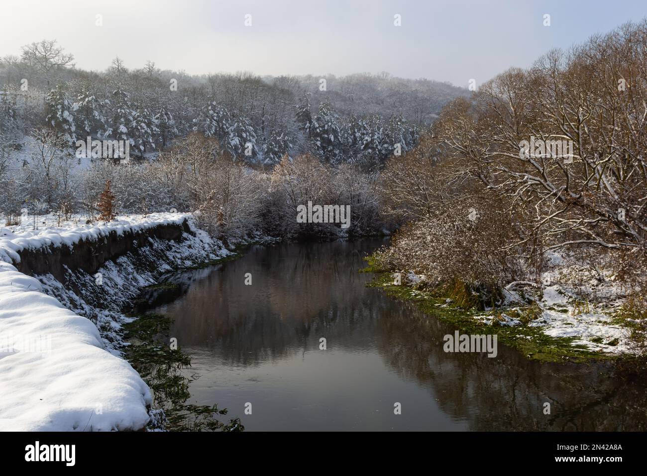 The river flows through the forest. In late fall in the forest the ...