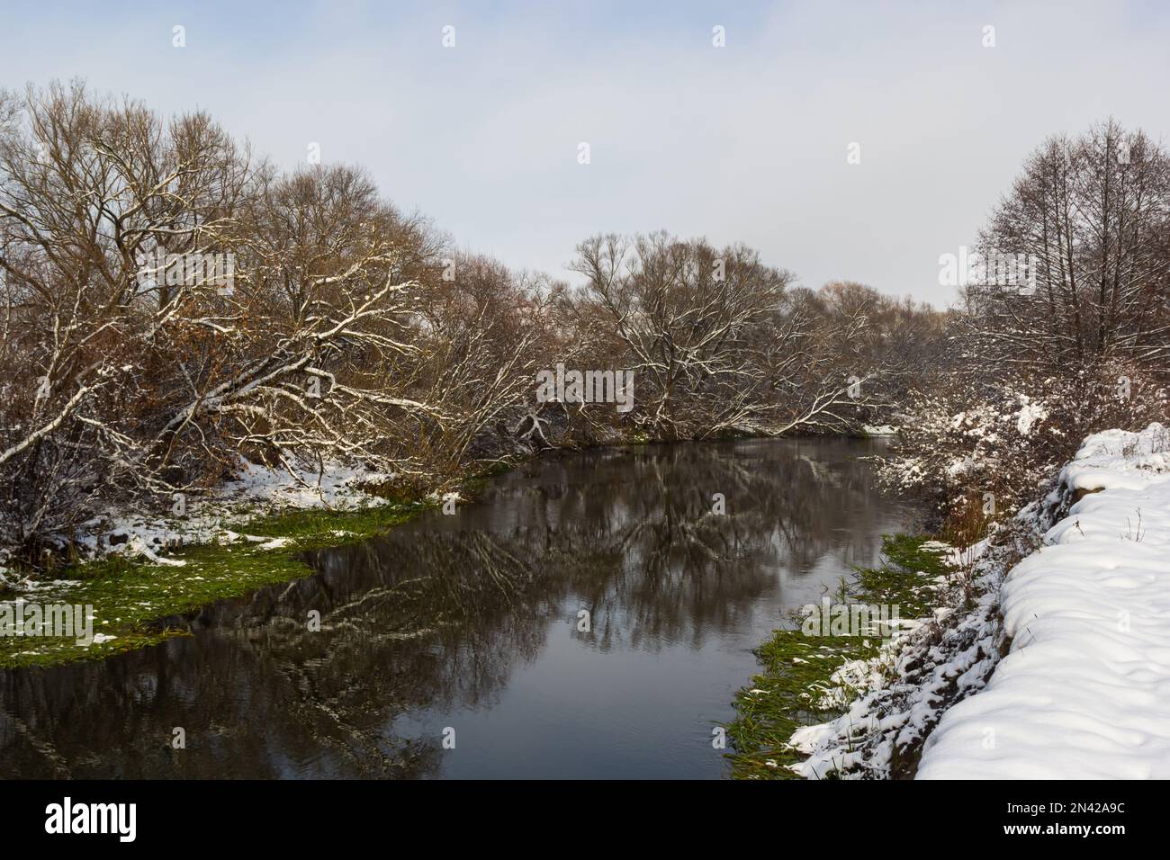 winter river, trees in the snow, view of the snow-covered forest Stock ...