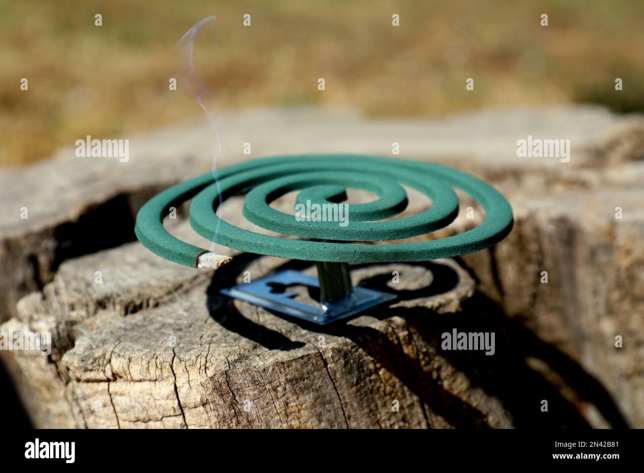 Smouldering insect repellent coil on tree stump outdoors Stock Photo ...