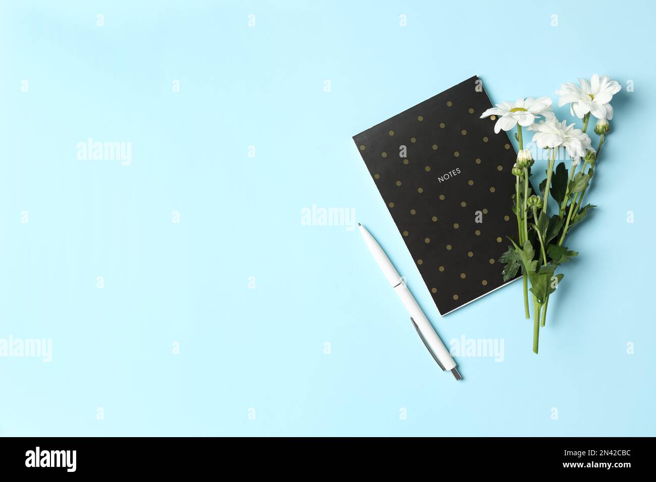 Different school stationery and beautiful white flowers on light blue ...