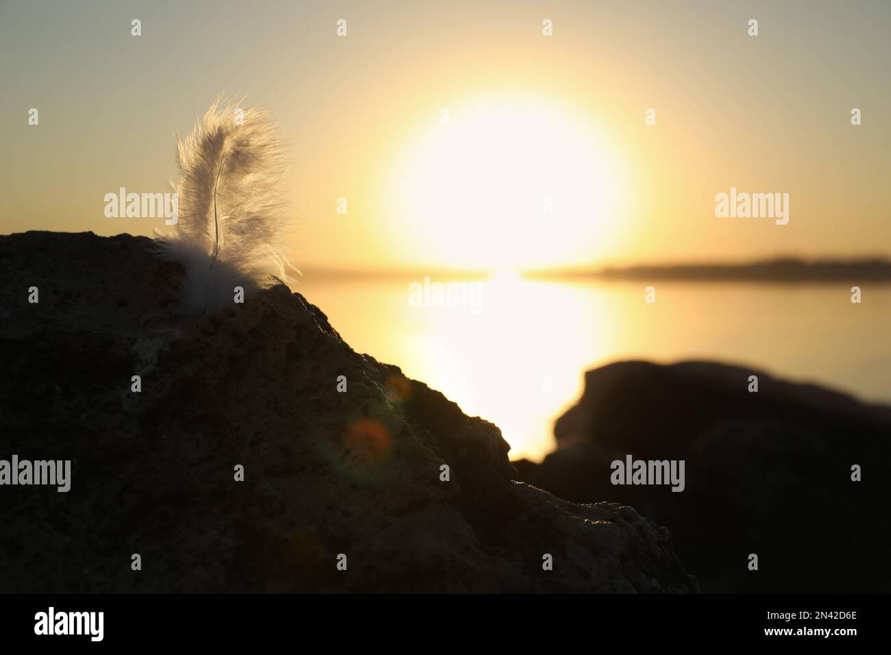 Feather at beach on sunset, closeup. Healing concept Stock Photo - Alamy