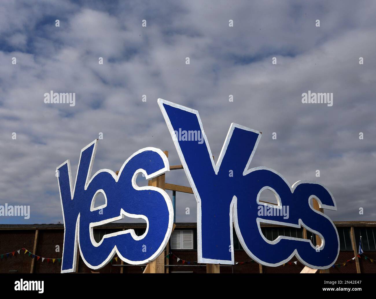 In this Monday, Sept. 8, 2014, file photo Yes Signs are displayed in ...
