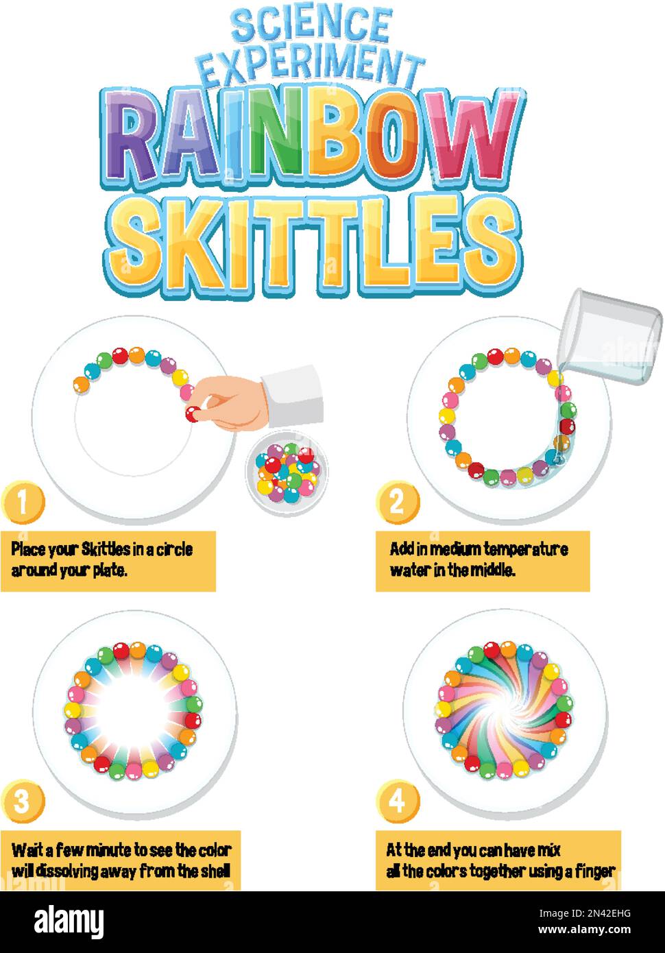 Rainbow skittles science experiment illustration Stock Vector Image ...