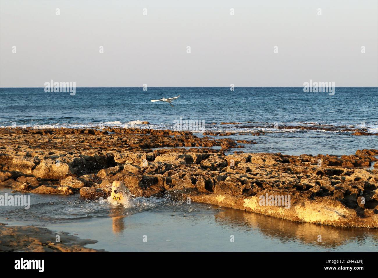 Canaaan hi-res stock photography and images - Alamy