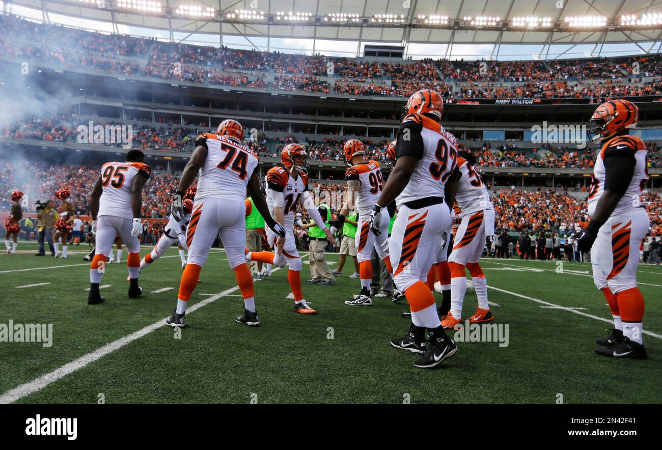 Cincinnati Bengals players stand on the field as the team is introduced ...