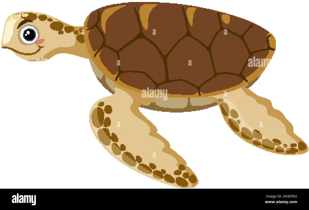 Sea turtle in cartoon style isolated illustration Stock Vector Image ...