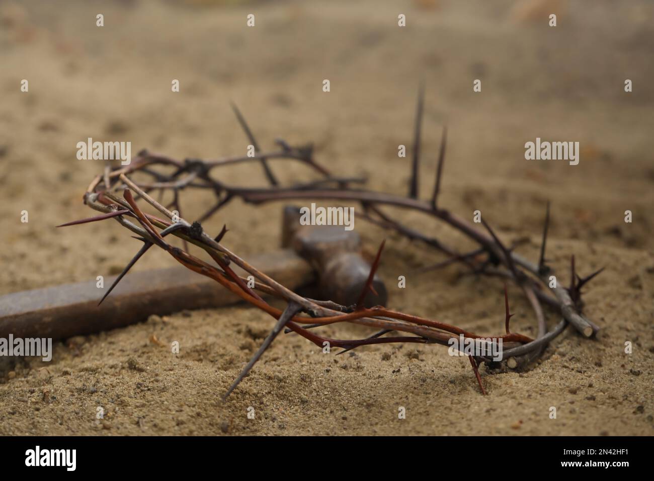 Crown of thorns and hammer on sand. Easter attributes Stock Photo - Alamy