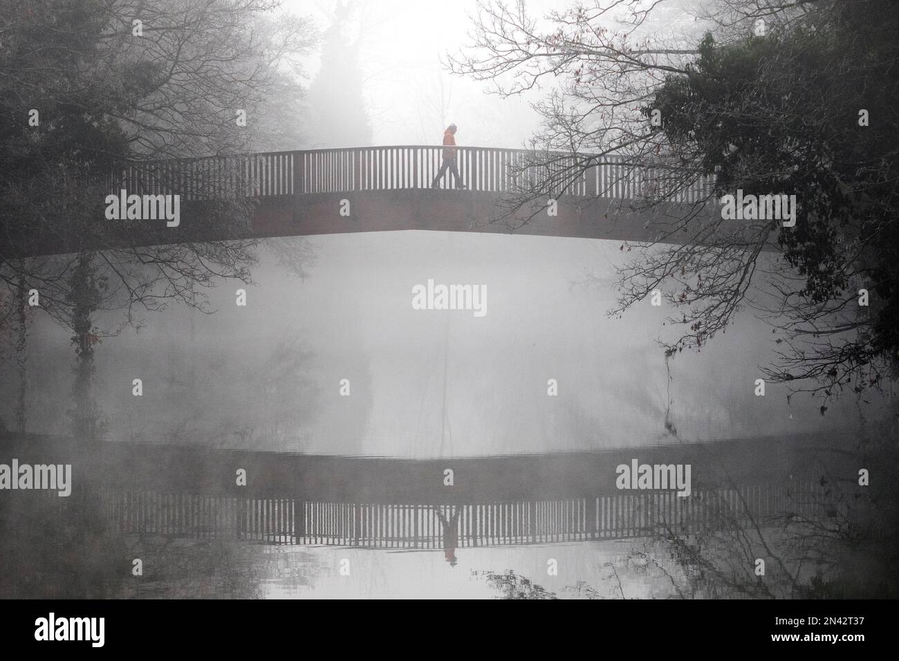 Chippenham, Wiltshire, UK. 8th Feb, 2023. As foggy weather affects many ...