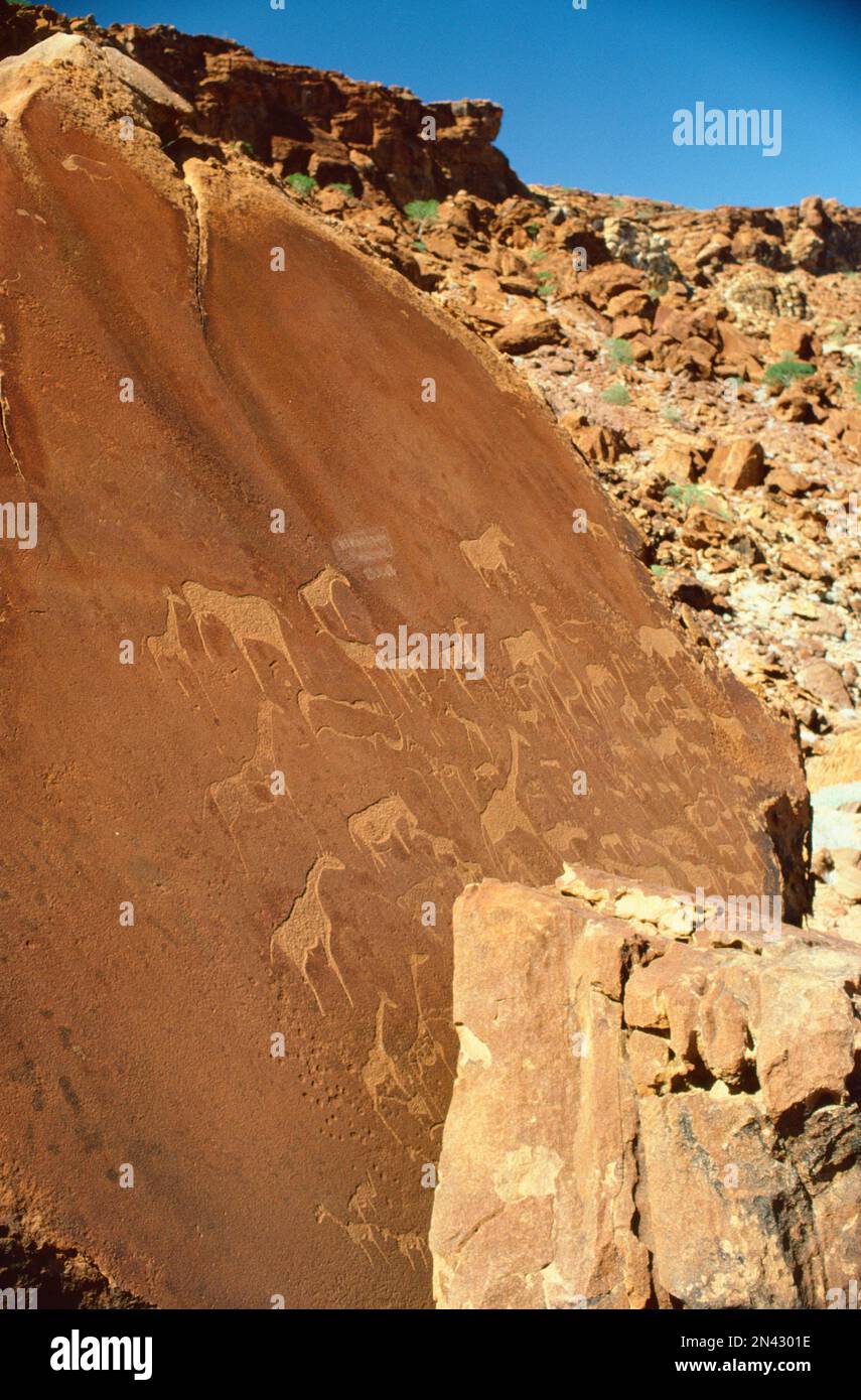 Twyfelfontein rock engravings, Namibia Stock Photo - Alamy
