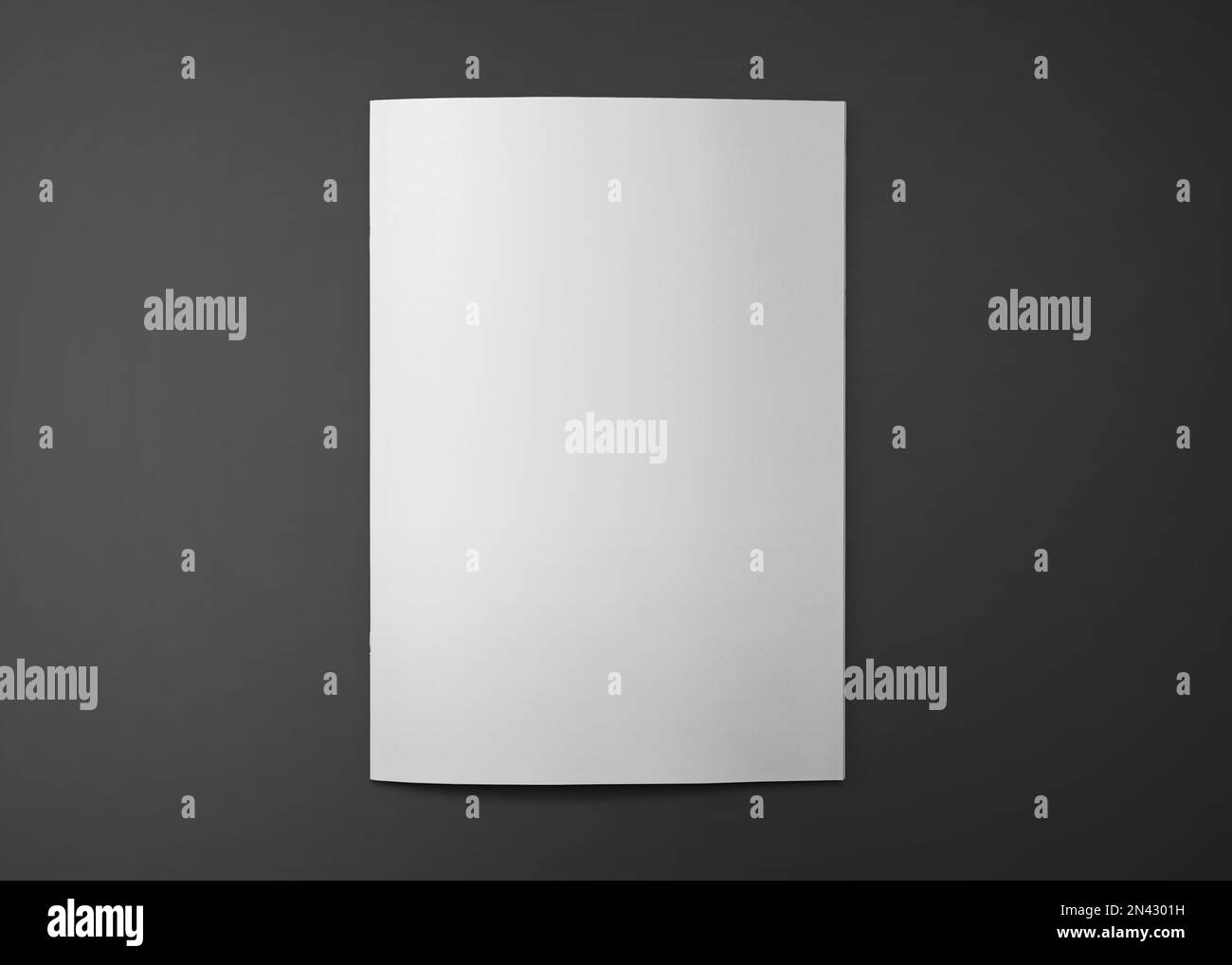 A4 Advertising Magazine Brochure Mockup 3D Rendering White Background ...