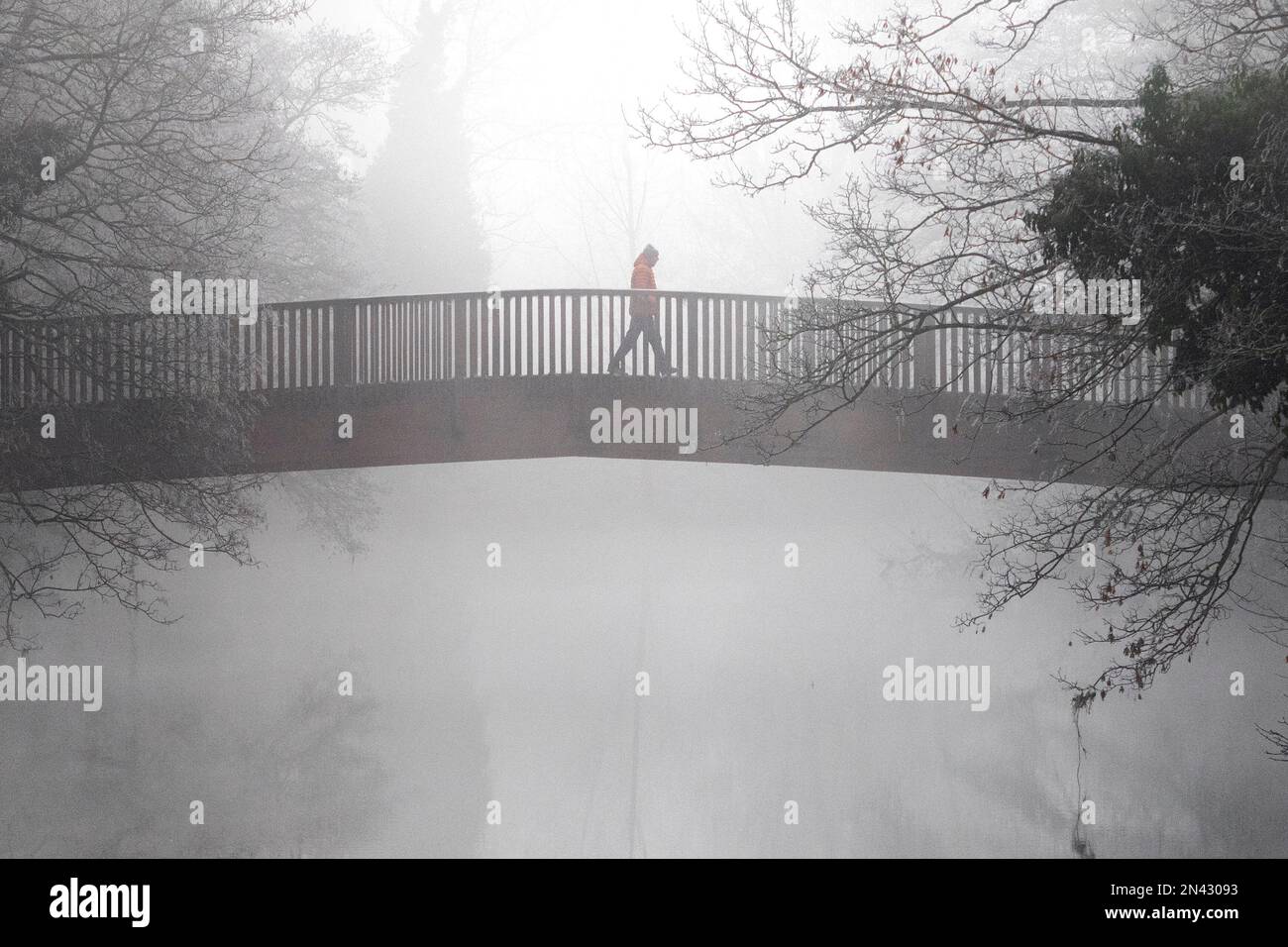 Chippenham, Wiltshire, UK. 8th Feb, 2023. As the cold foggy winter ...