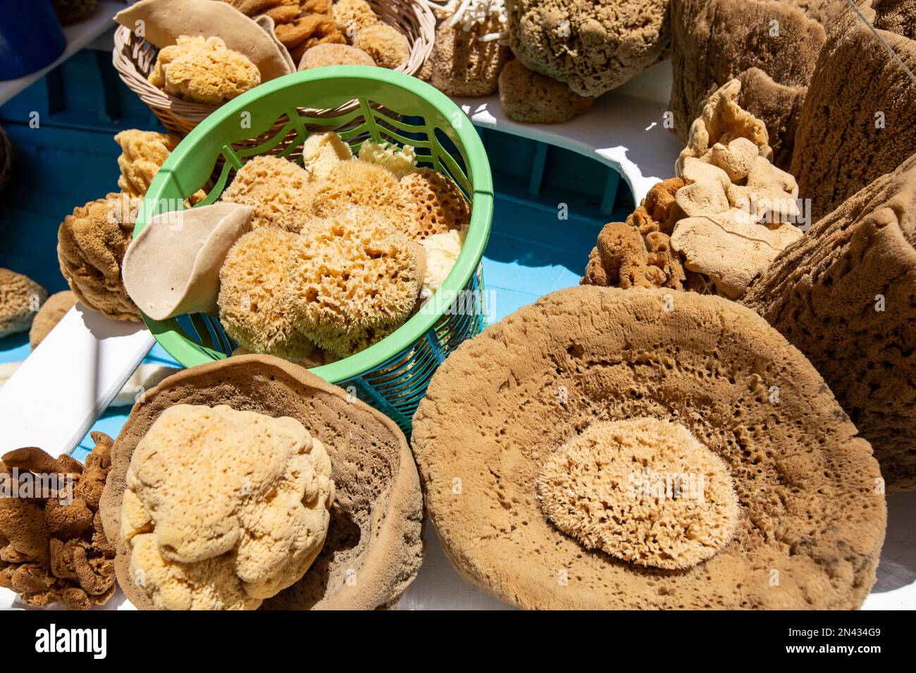 Natural sea sponges sold on a greek market. Organic beauty and ...