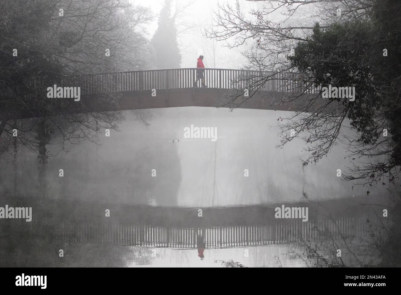 Chippenham, Wiltshire, UK. 8th Feb, 2023. As the cold foggy winter ...