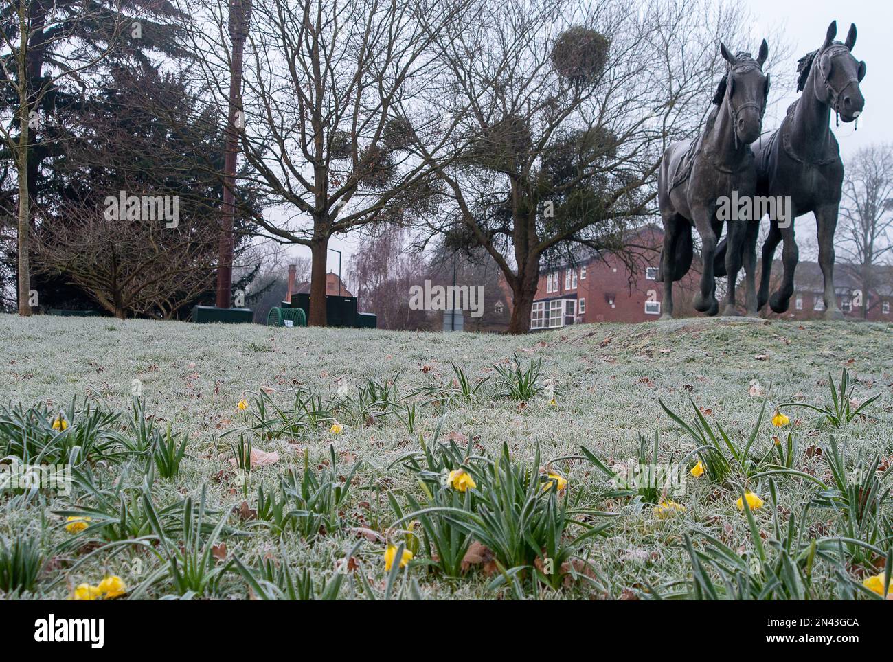 Windsor, Berkshire, UK. 8th February, 2023. Frost on the Windsor Grey ...