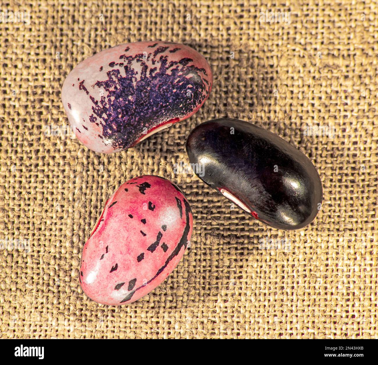 Close up view colorful beans hi-res stock photography and images - Alamy