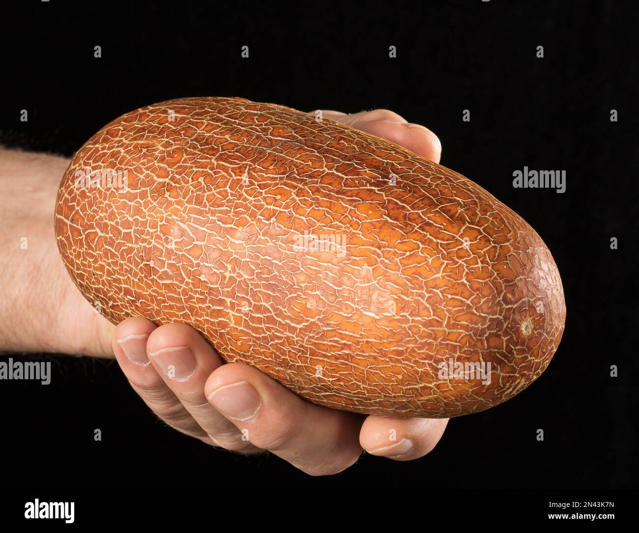 Cucumber hand hi-res stock photography and images - Alamy