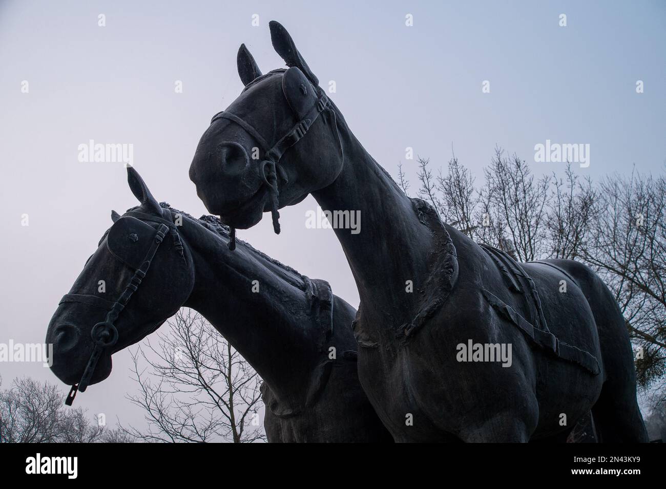 Windsor, Berkshire, UK. 8th February, 2023. Frost on the Windsor Grey ...