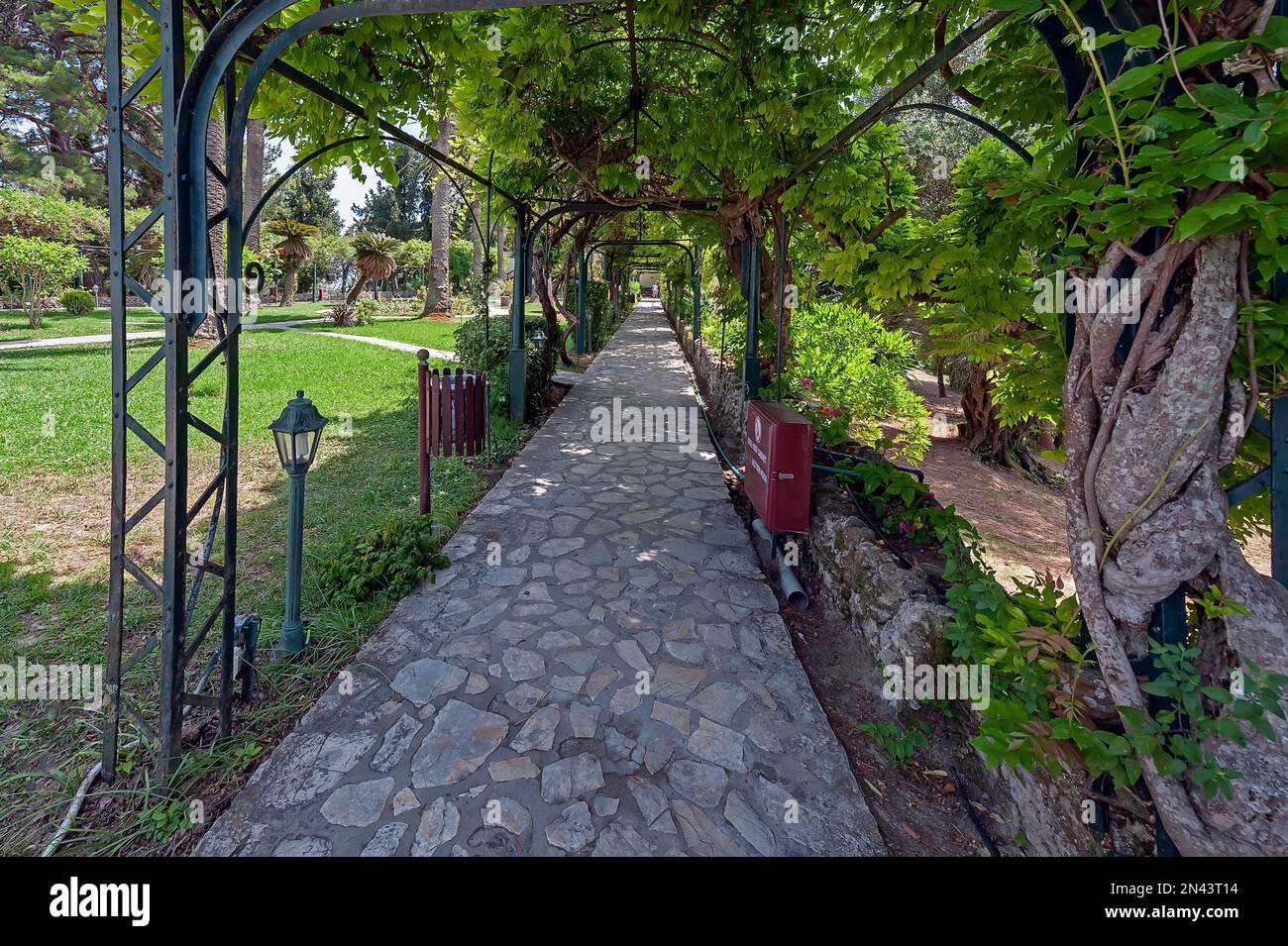 Plant corridor in the garden in Corfu, Greece Stock Photo - Alamy