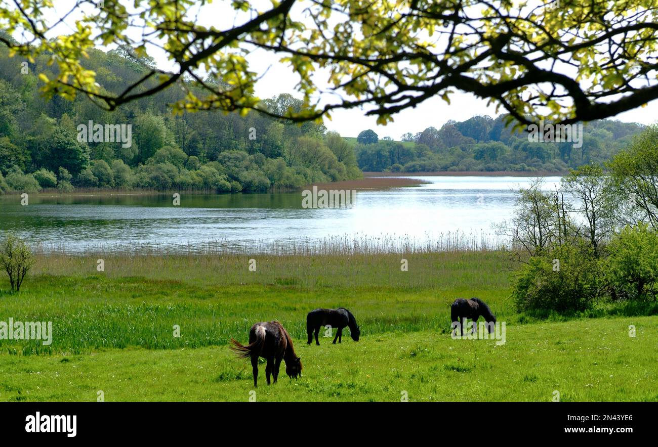 Glaslough Lake at Castle Leslie, County Monaghan, Ireland Stock Photo ...