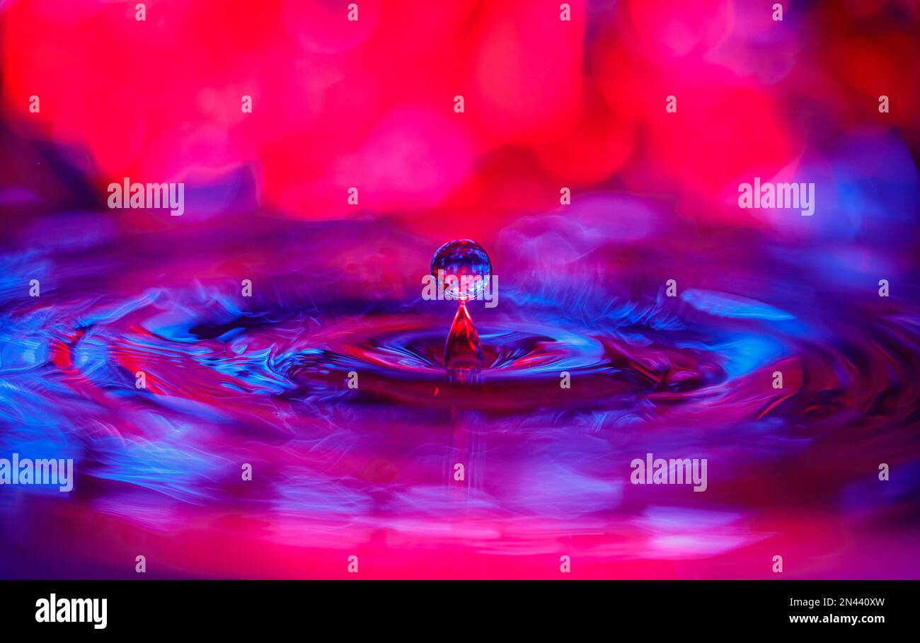 A transparent drop with a red-violet background falls into the water ...
