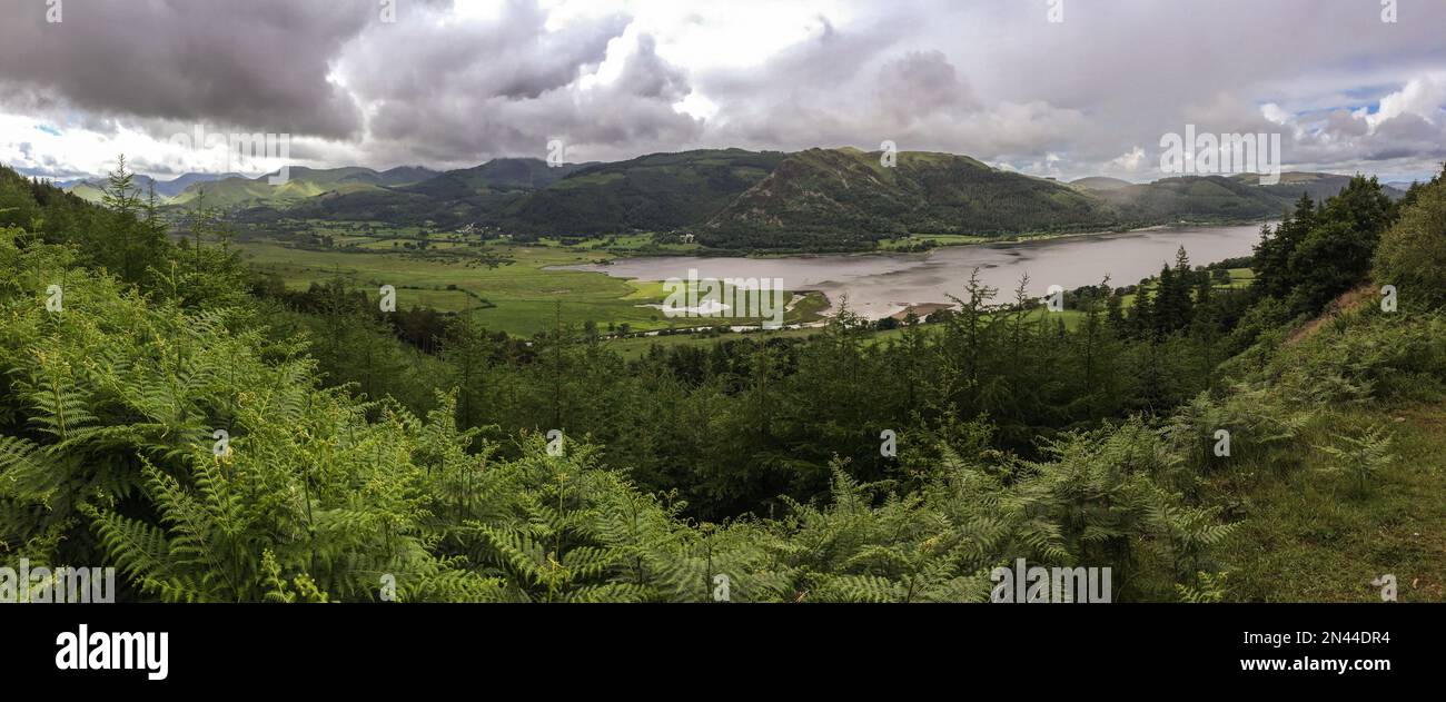 Beautiful panoramic forest overlooking a large lake with a moody sky ...