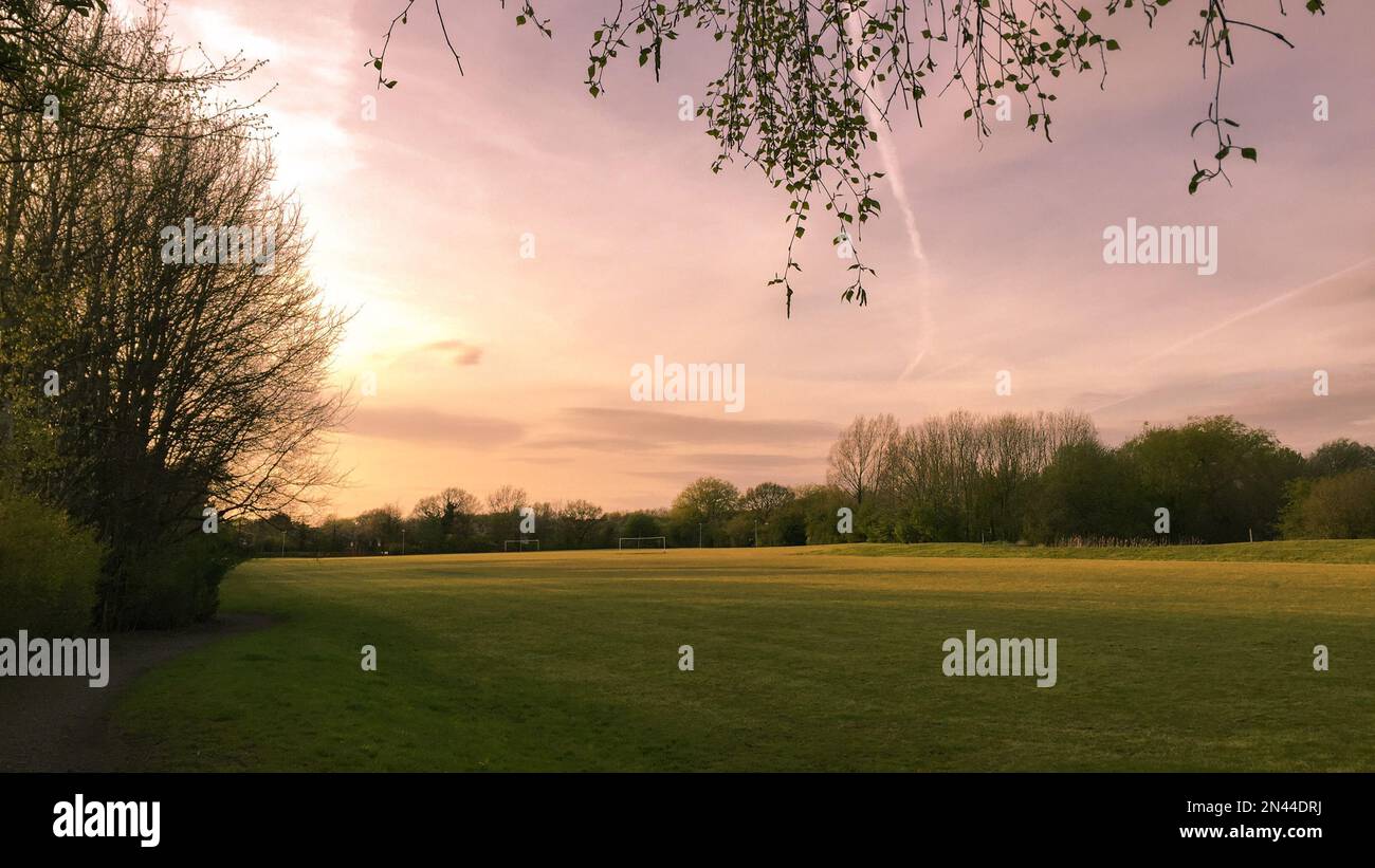 Stunning sunset over a quiet park with trees framing the photo on a ...