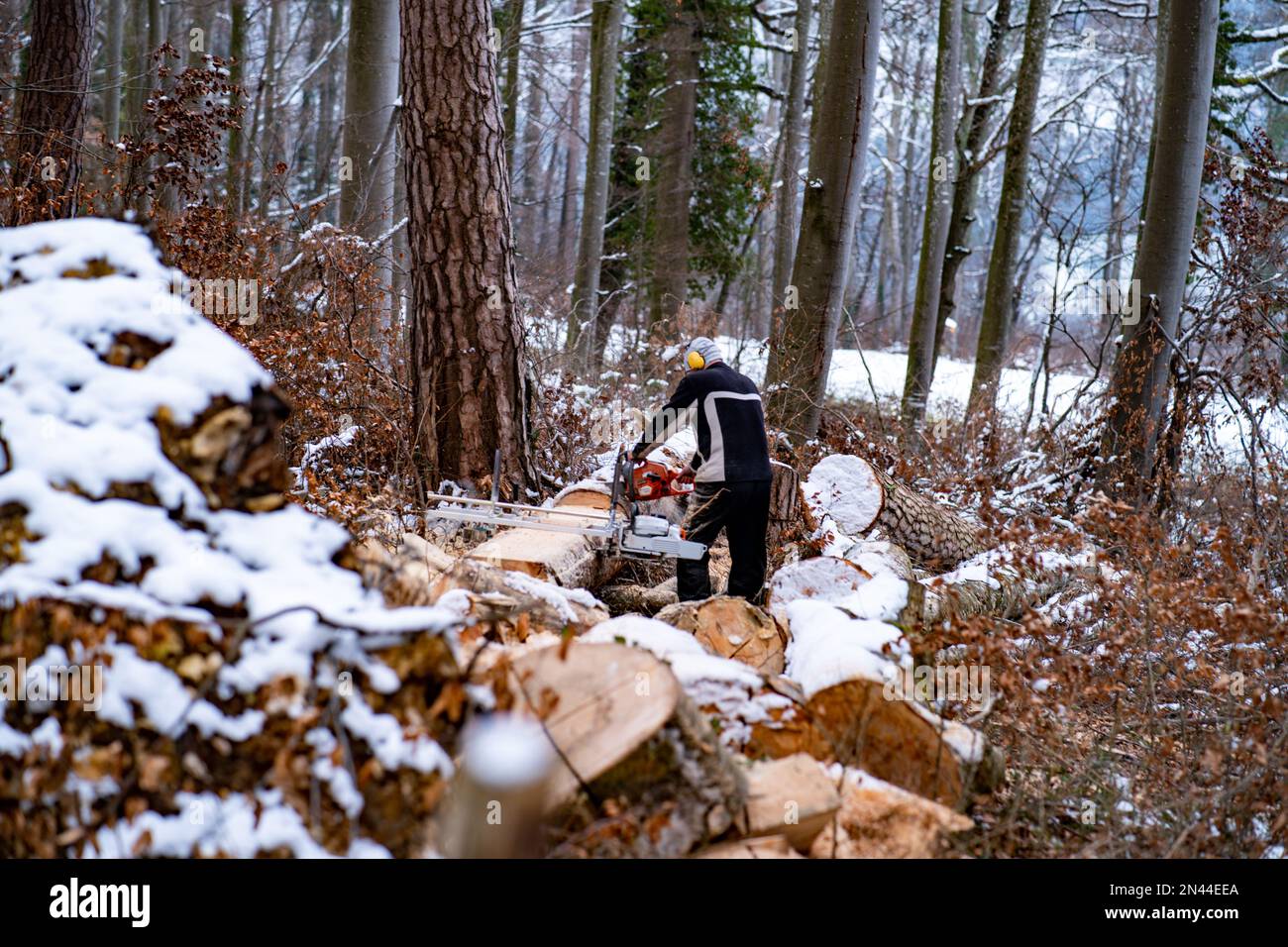 woodcutter in the snowy forest Stock Photo - Alamy