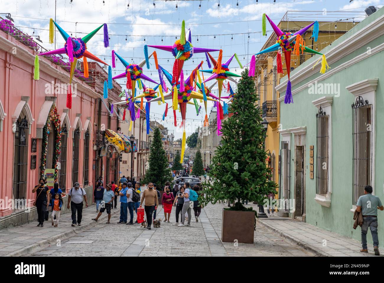 Star-shaped Christmas piñatas, trees and lights decorate Calle ...