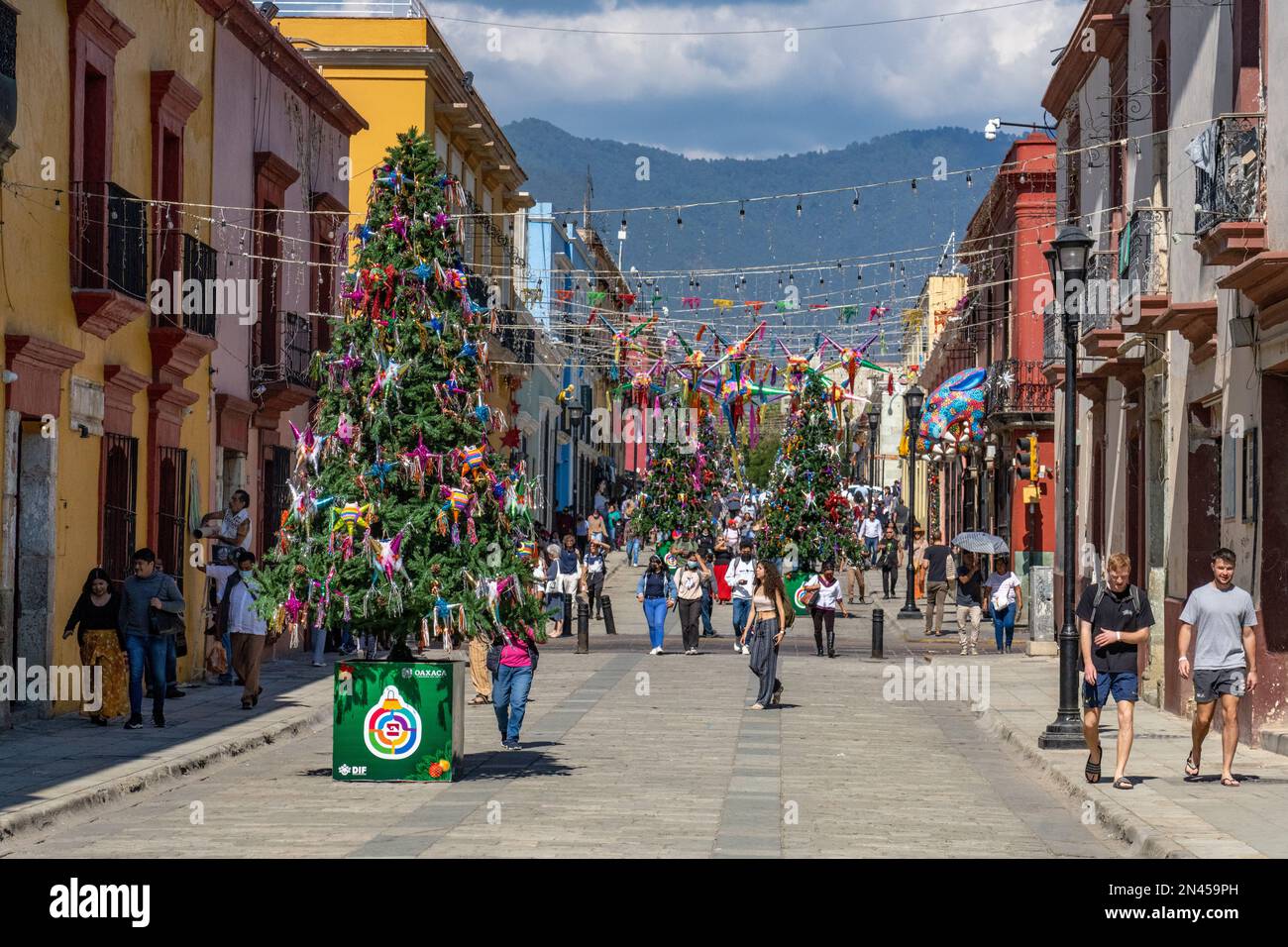 Christmas trees, lights and star-shaped piñatas decorate Calle ...