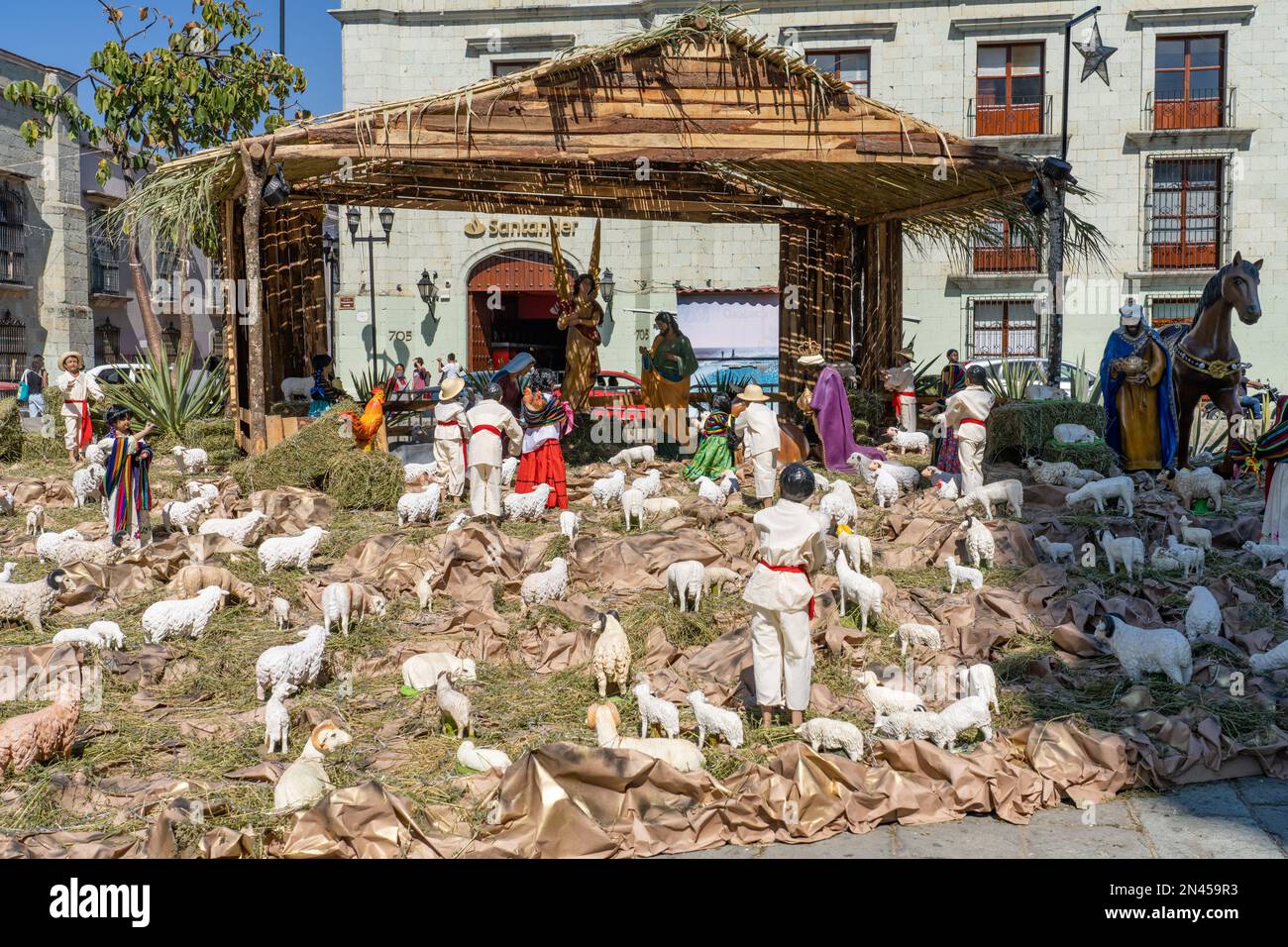 A Christmas Nativity display in the Zocalo square in the historic ...