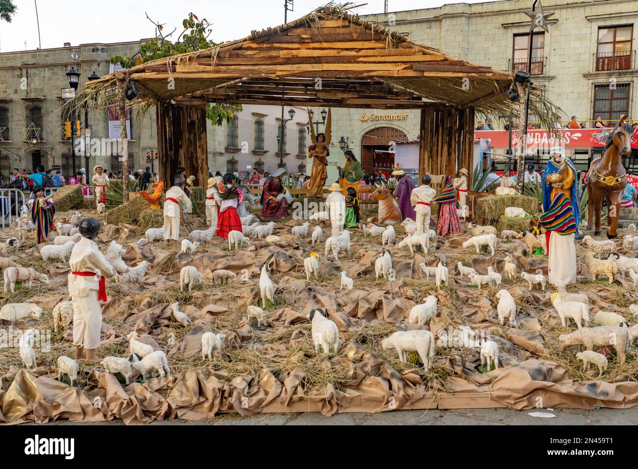 A Christmas Nativity display in the Zocalo square in the historic ...