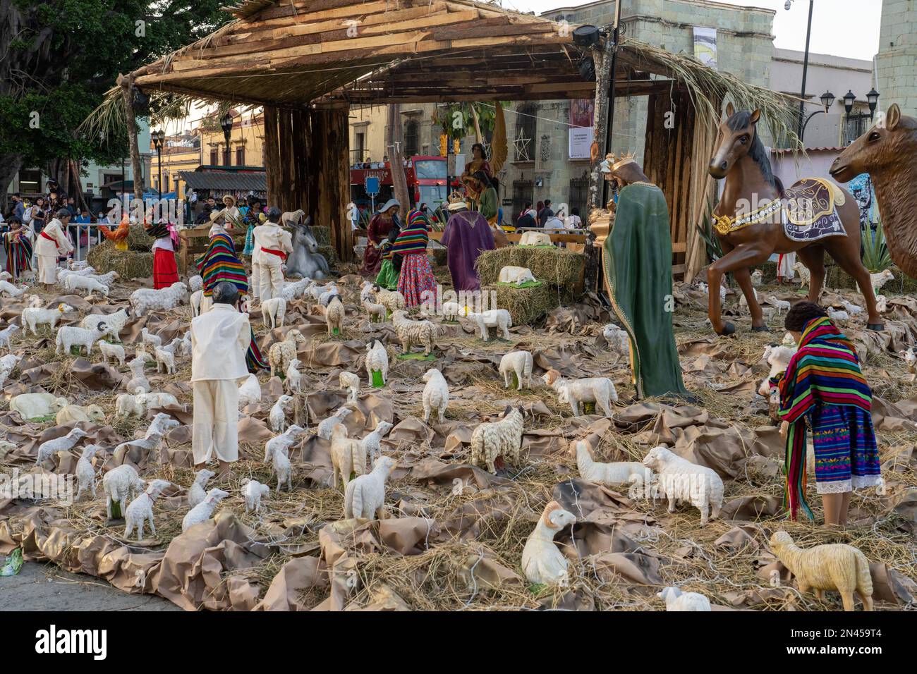 A Christmas Nativity display in the Zocalo square in the historic ...