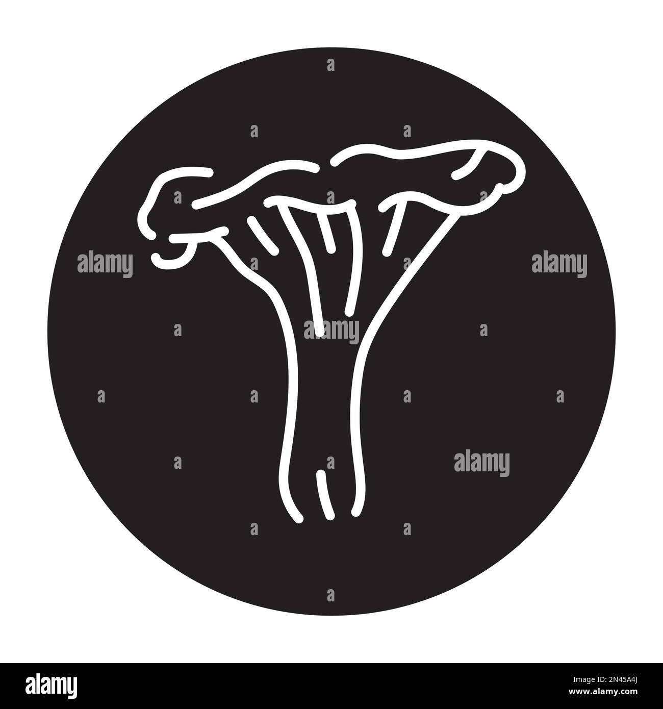 Chanterelle mushroom color line icon. Cooking ingredient. Pictogram for ...