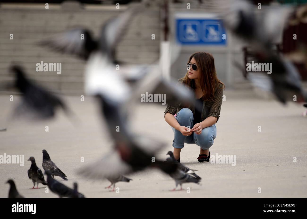 A visitor feeds doves at Namsangol Hanok Village in Seoul, South Korea ...