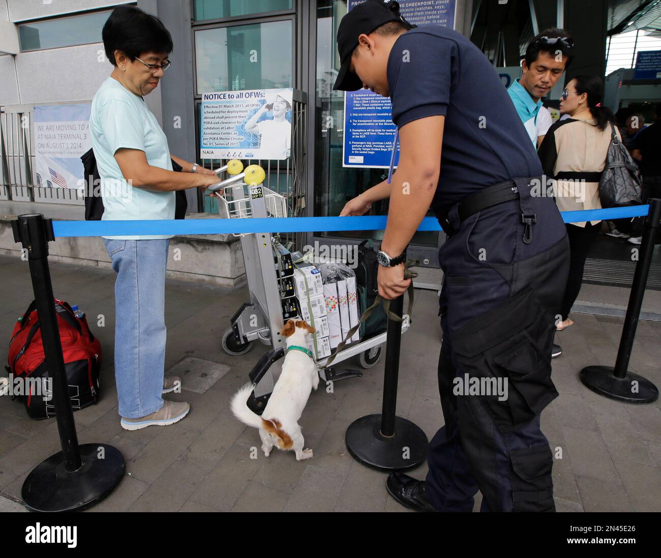 Philippine National Police airport security unit uses a K-9 dog to ...