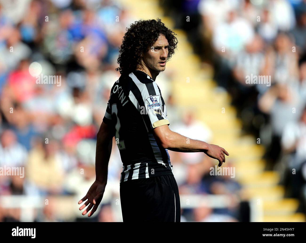 Newcastle United's captain Fabricio Coloccini during their English ...