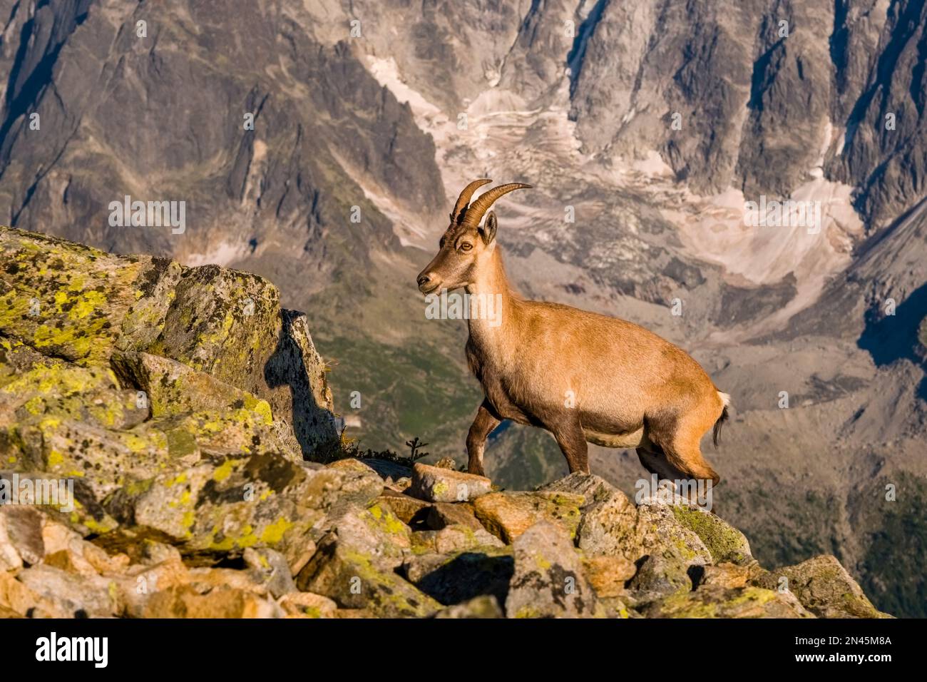Montblanc mt massif hi-res stock photography and images - Alamy