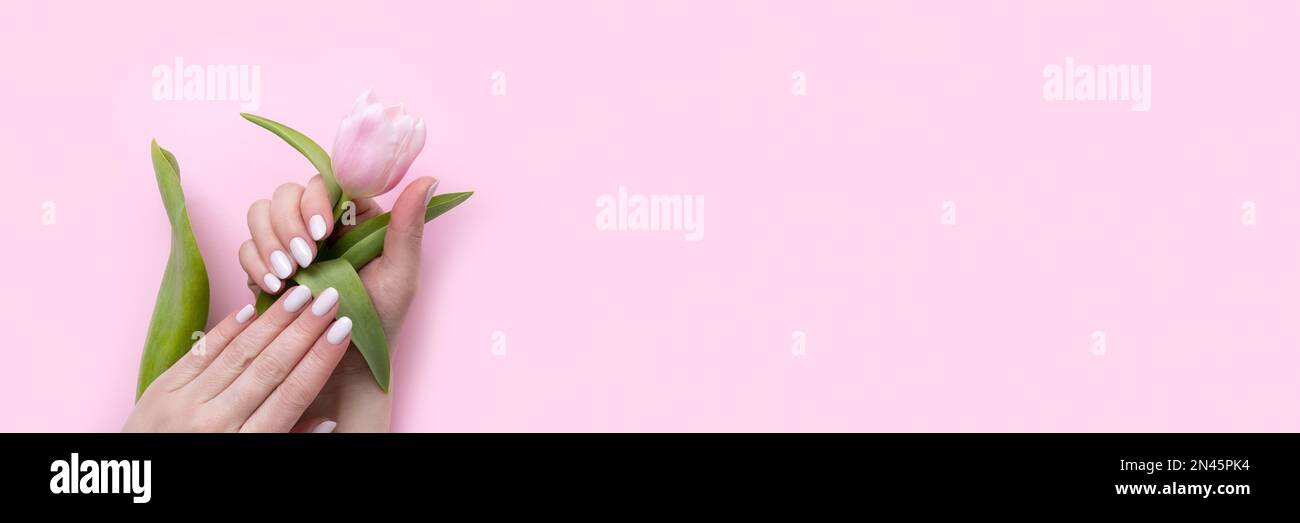 Female hands with beautiful manicure - white ivory oval nails with ...