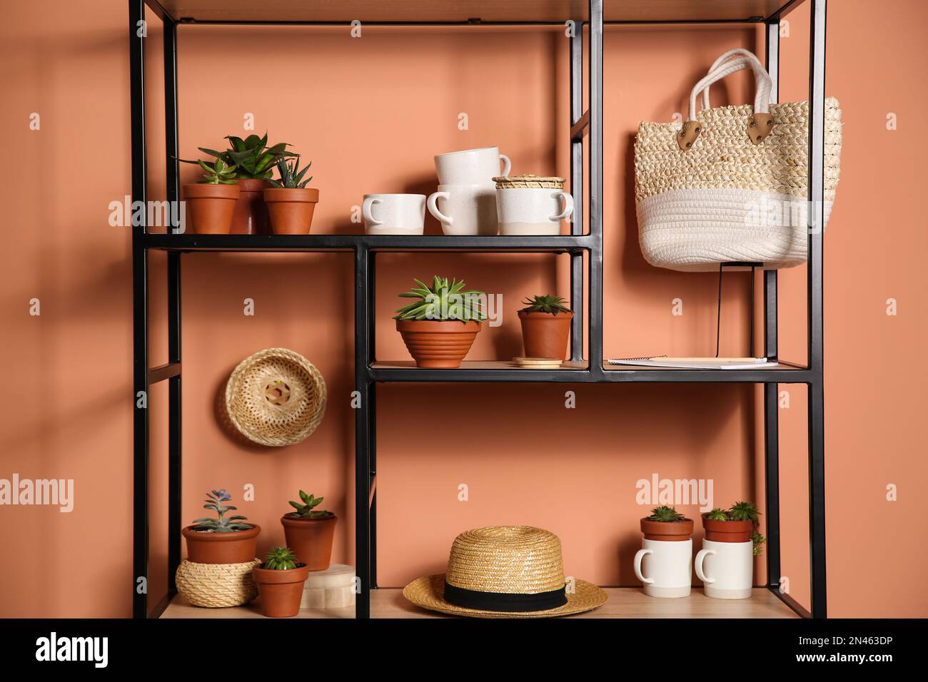Stylish shelving unit with decorative elements near color wall ...