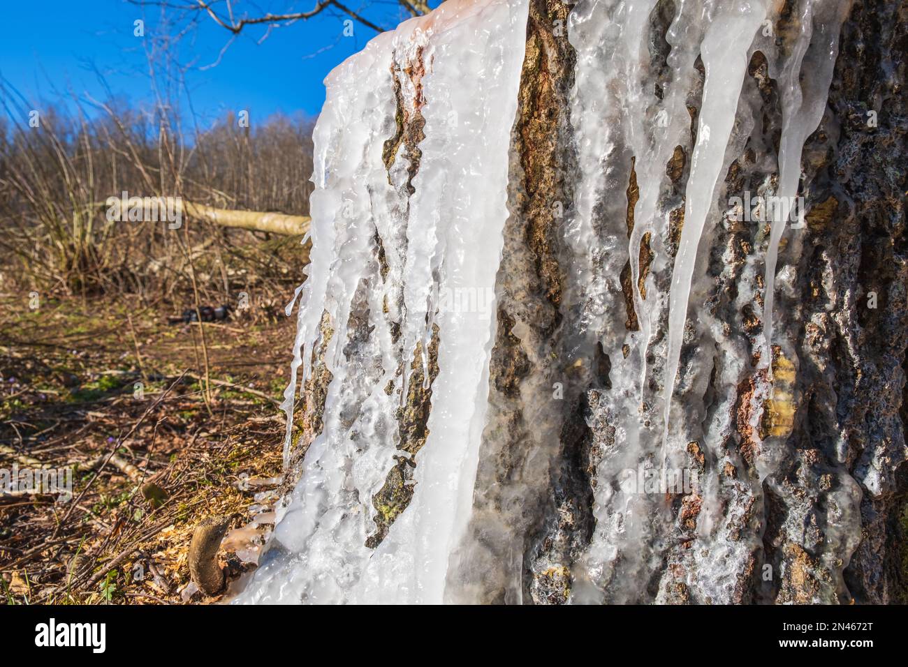 Icicles on a tree hi-res stock photography and images - Alamy