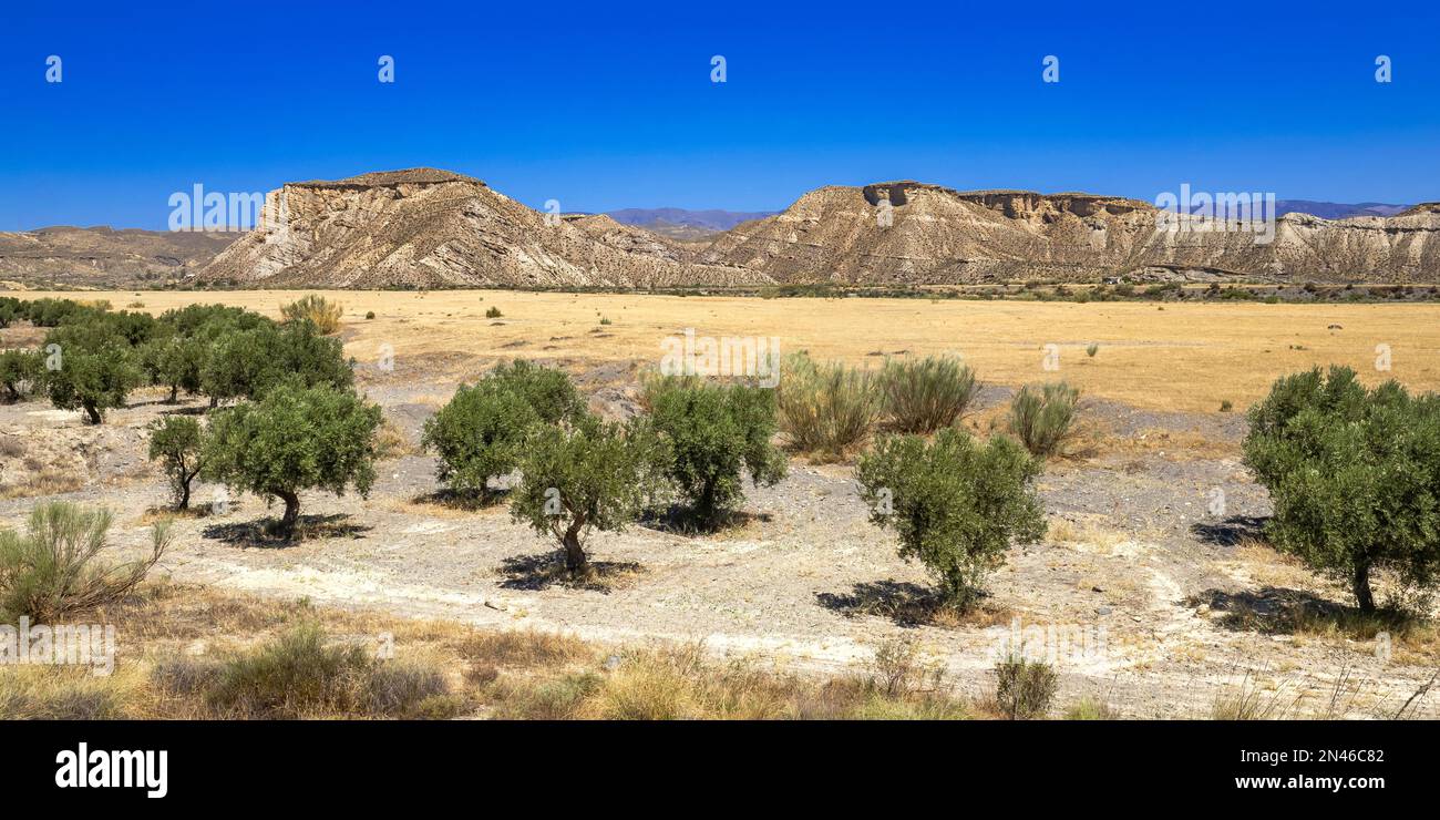 Tabernas Desert Nature Reserve, Special Protection Area, Hot Desert ...