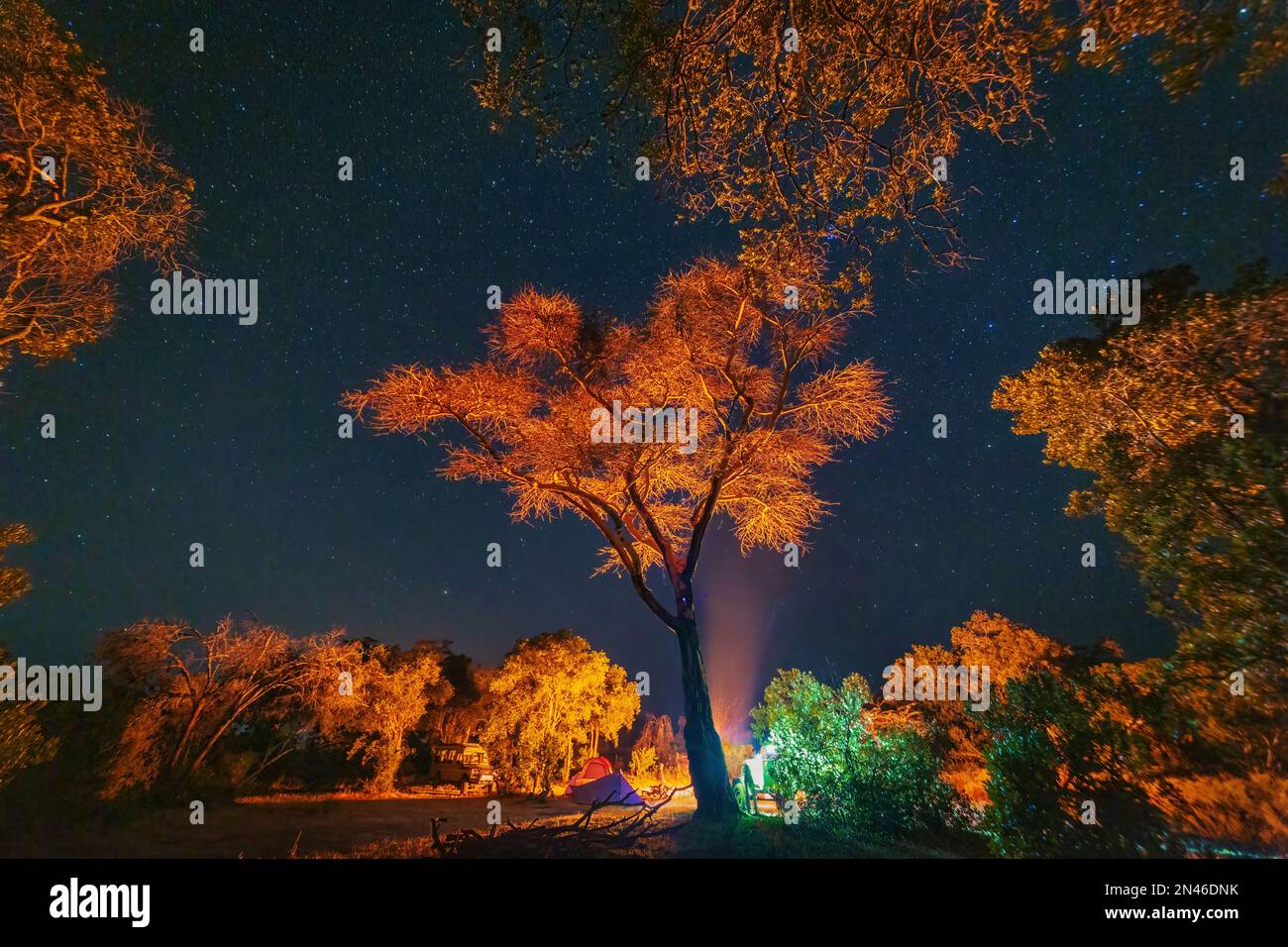 Tent camp at sunset among the trees. Night sky with stars Stock Photo ...