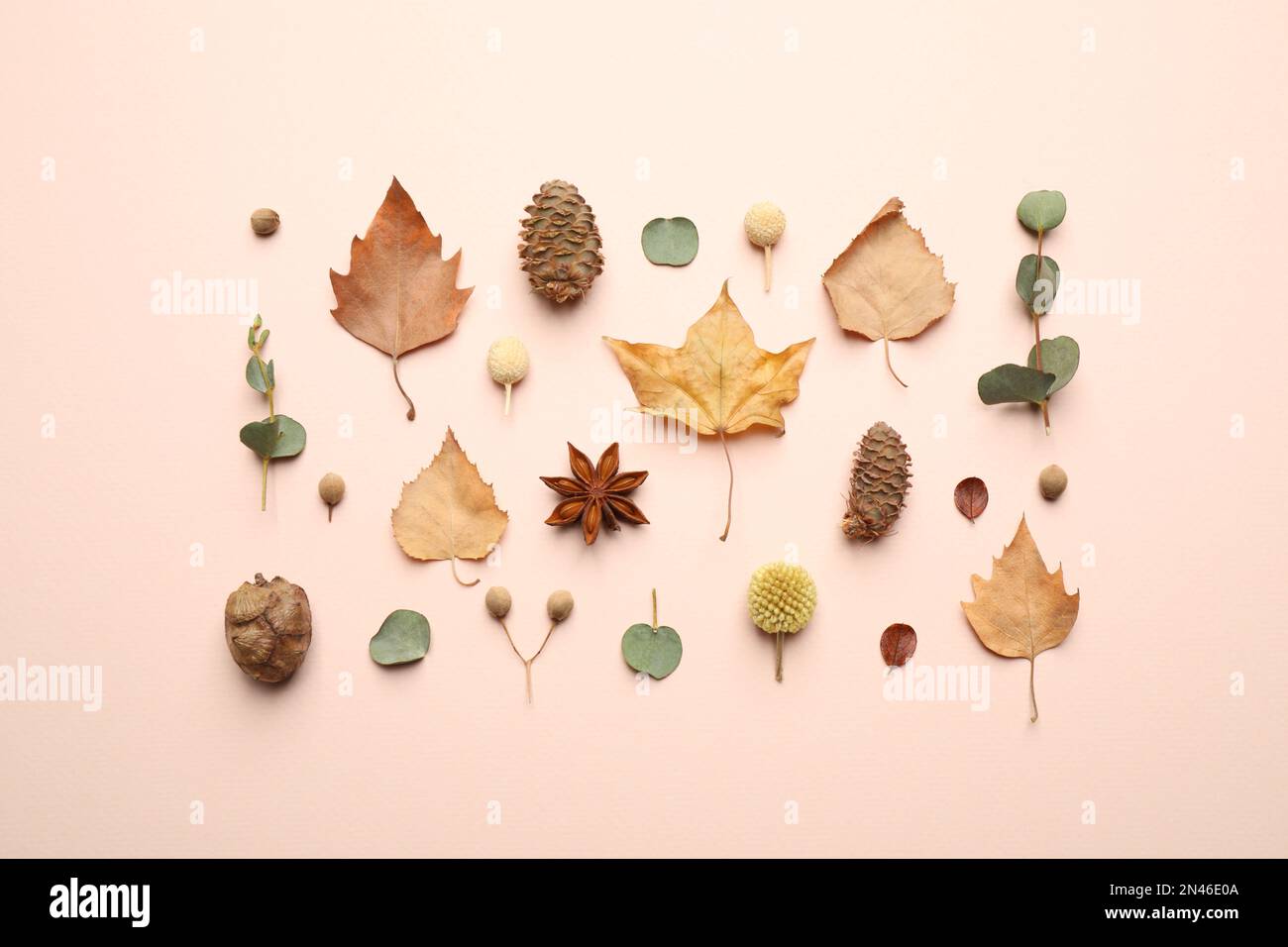 Flat lay composition with autumn leaves on light background Stock Photo ...