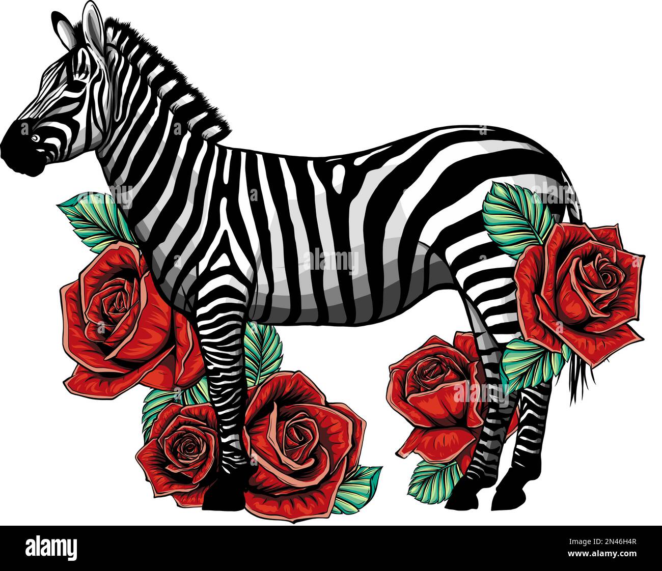 zebra with red roses vector illustration design Stock Vector Image ...