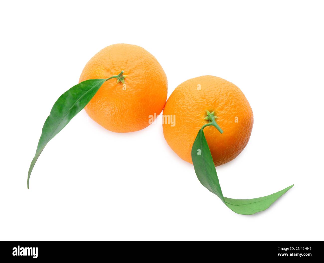 Whole fresh tangerines with green leaves on white background, top view ...
