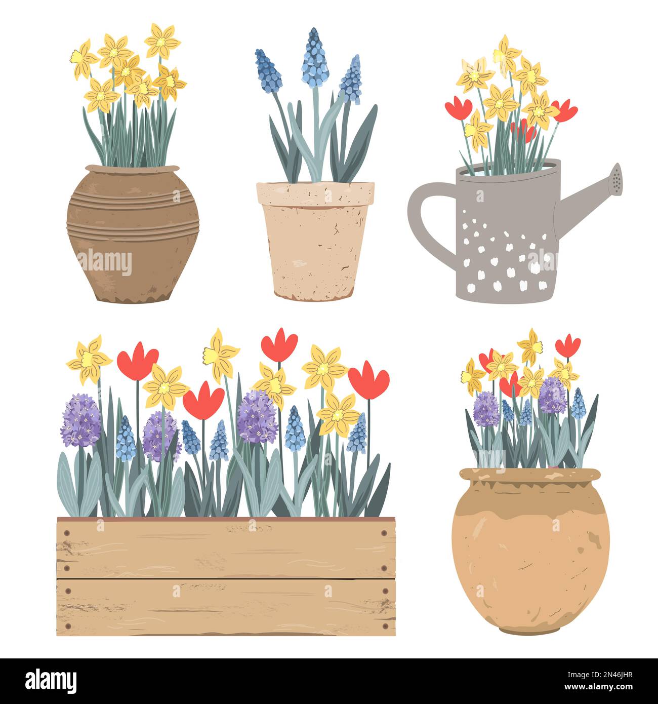 Collection of vintage pots, watering can and box with Spring flowers ...