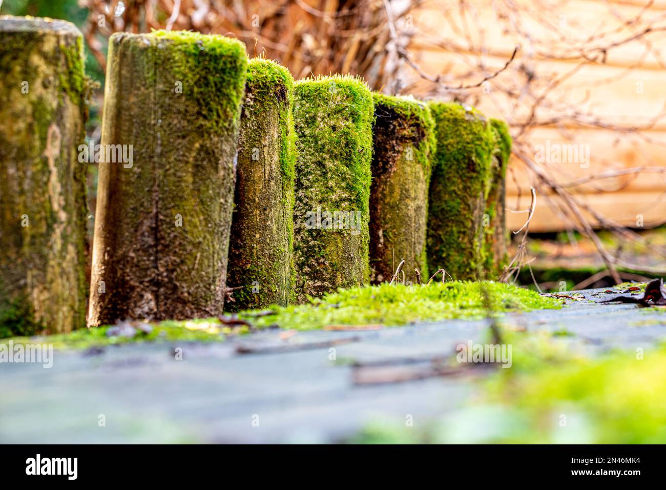 Old wooden round fence covered with moss in garden Stock Photo - Alamy