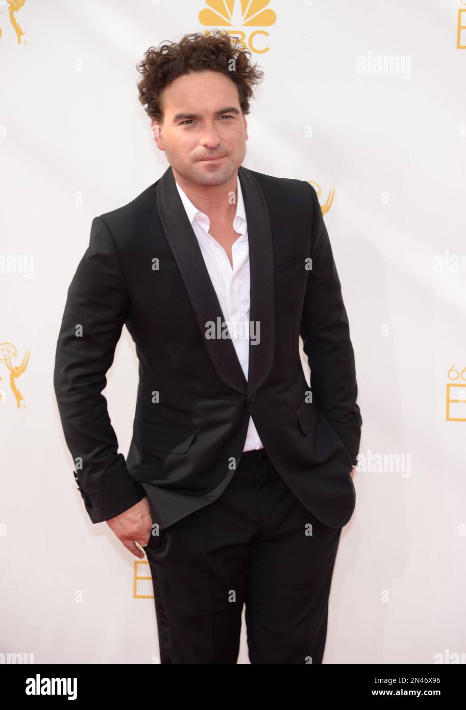 Johnny Galecki arrives at the 66th Primetime Emmy Awards at the Nokia ...