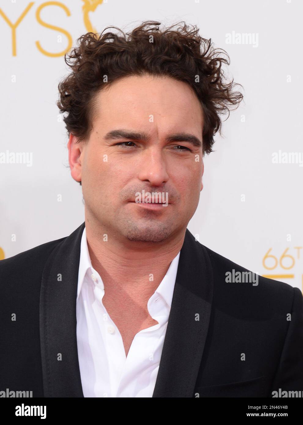 Johnny Galecki arrives at the 66th Annual Primetime Emmy Awards at the ...